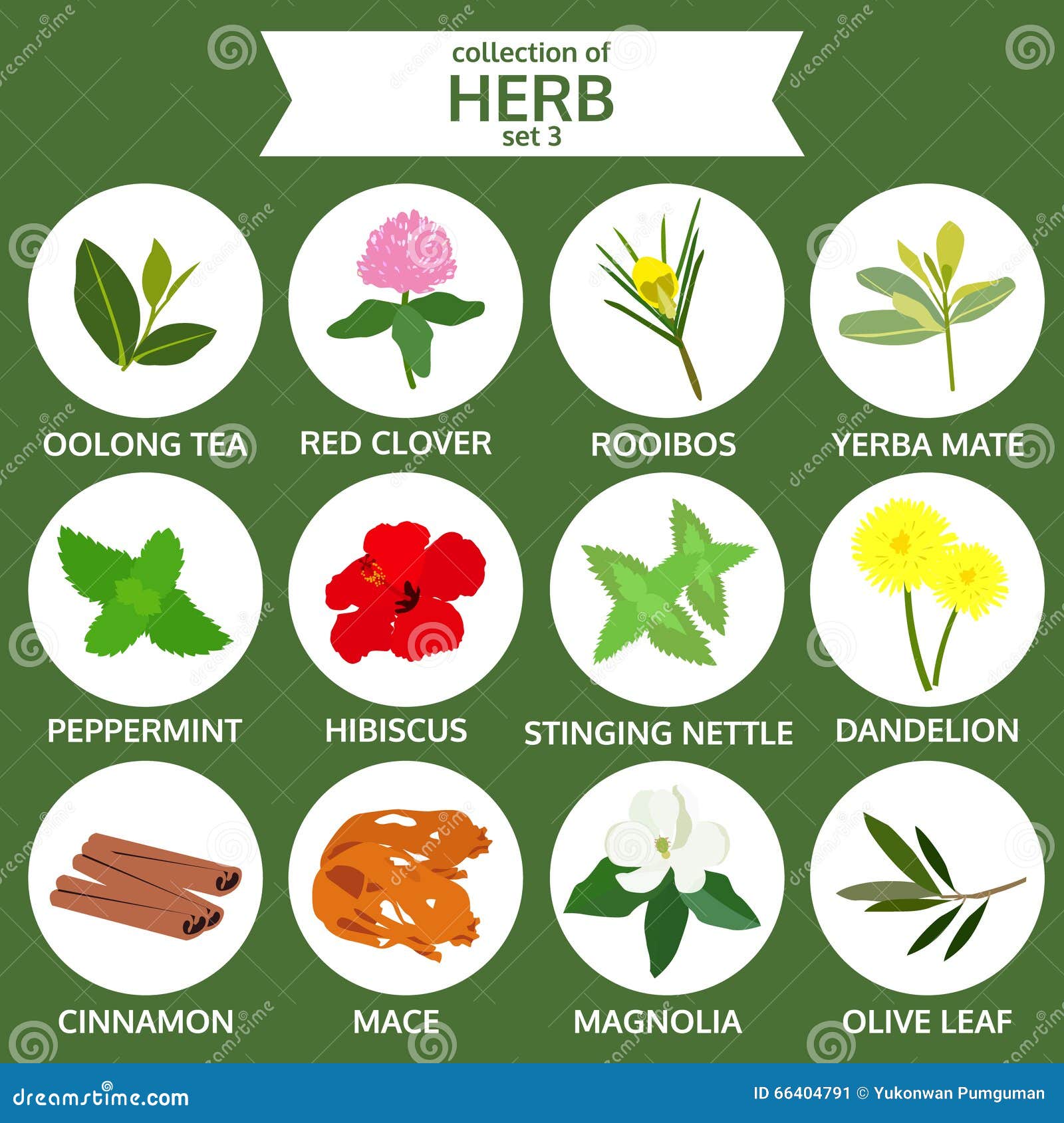 Collections of Herb Set 3, Food Vector Illustration, Flat Icon Stock ...