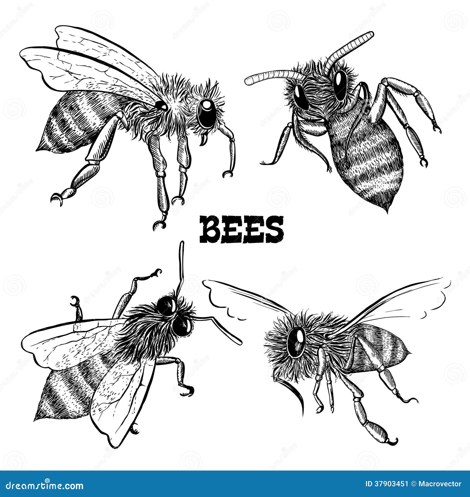 Bee Icons Stock Illustrations – 9,176 Bee Icons Stock Illustrations ...
