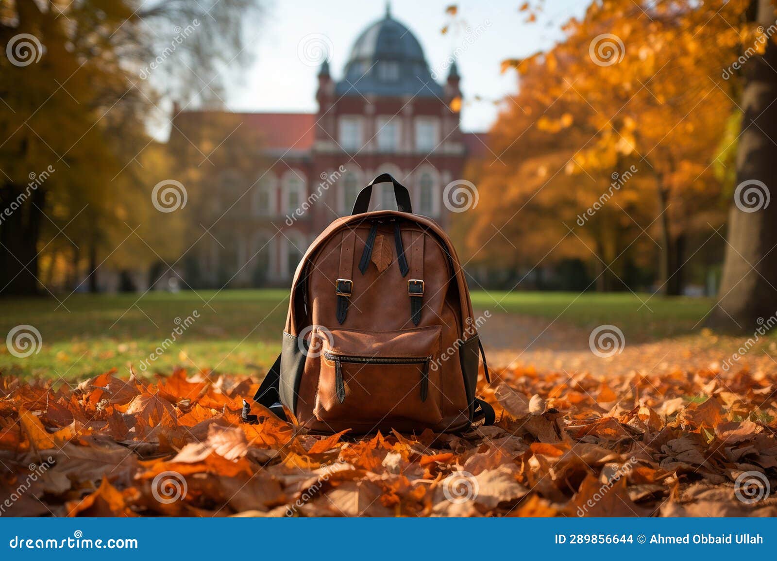 College Backpack on Fall Leaves. Generative by Ai Stock Illustration ...