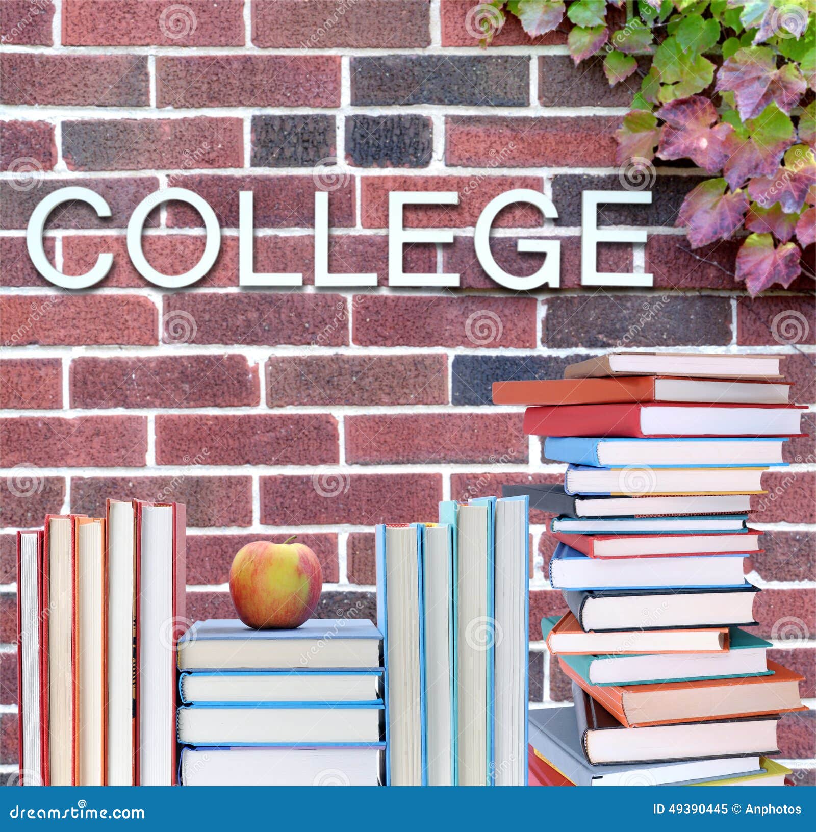 College book stock image. Image of college, notebook - 49390445