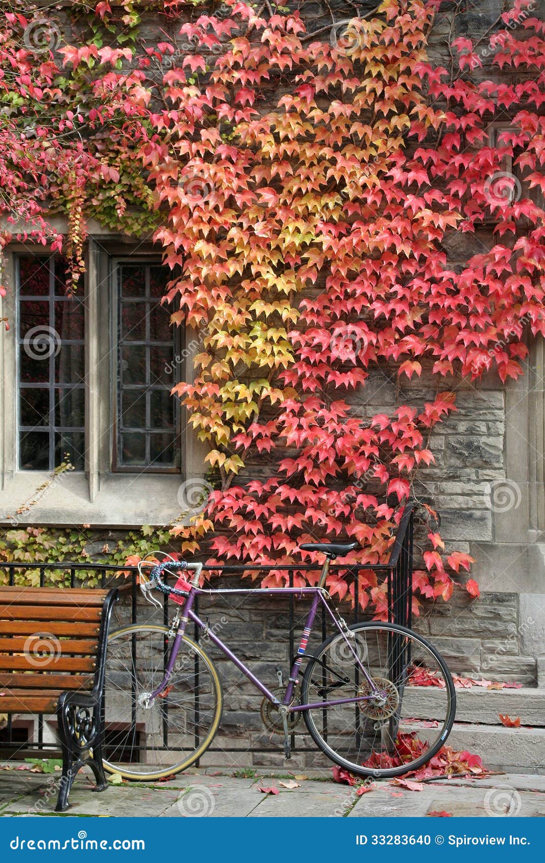 College Building with Fall Ivy Stock Photo - Image of bicycle, exterior ...