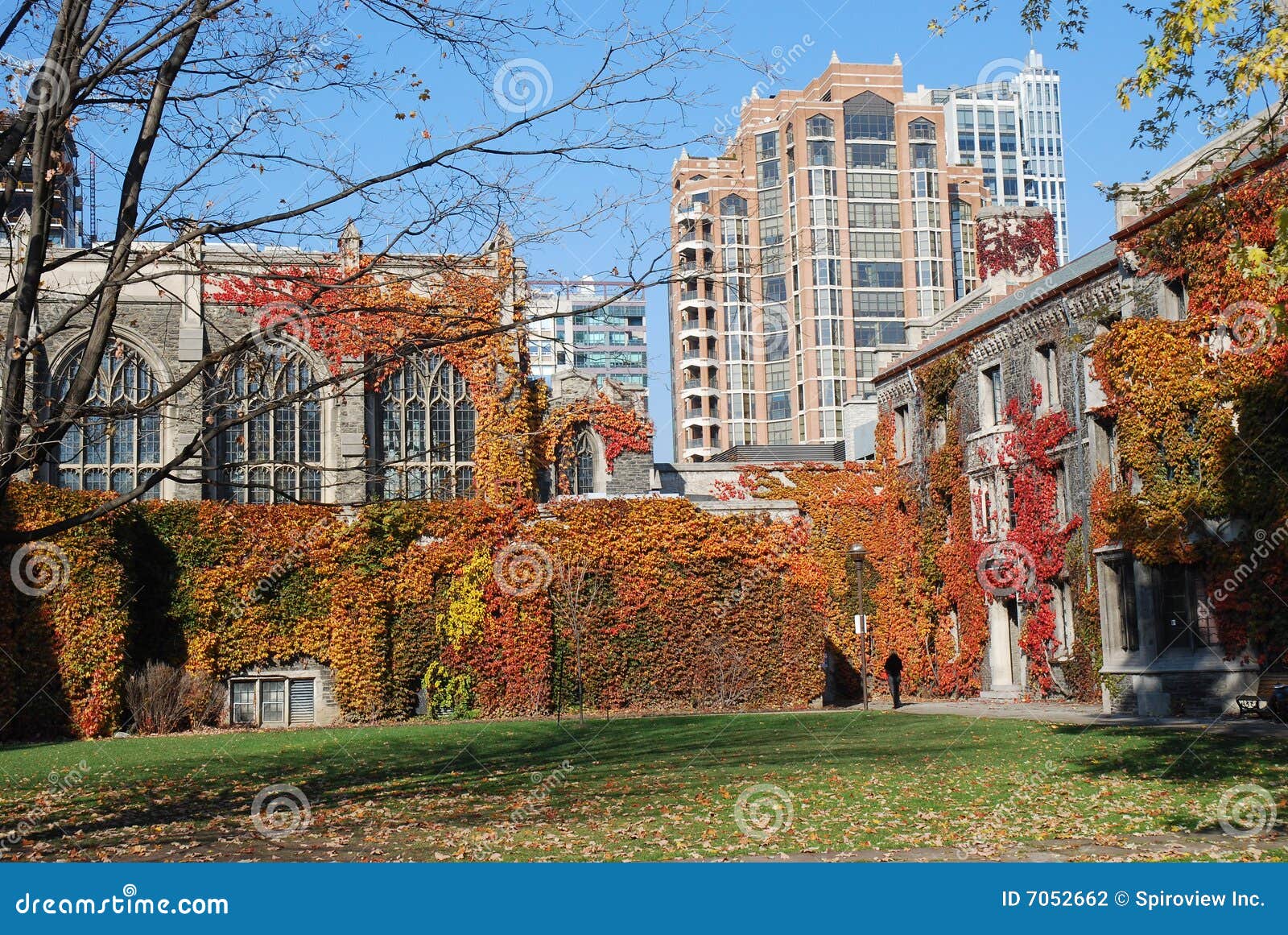College with Fall Ivy stock photo. Image of house, downtown - 7052662