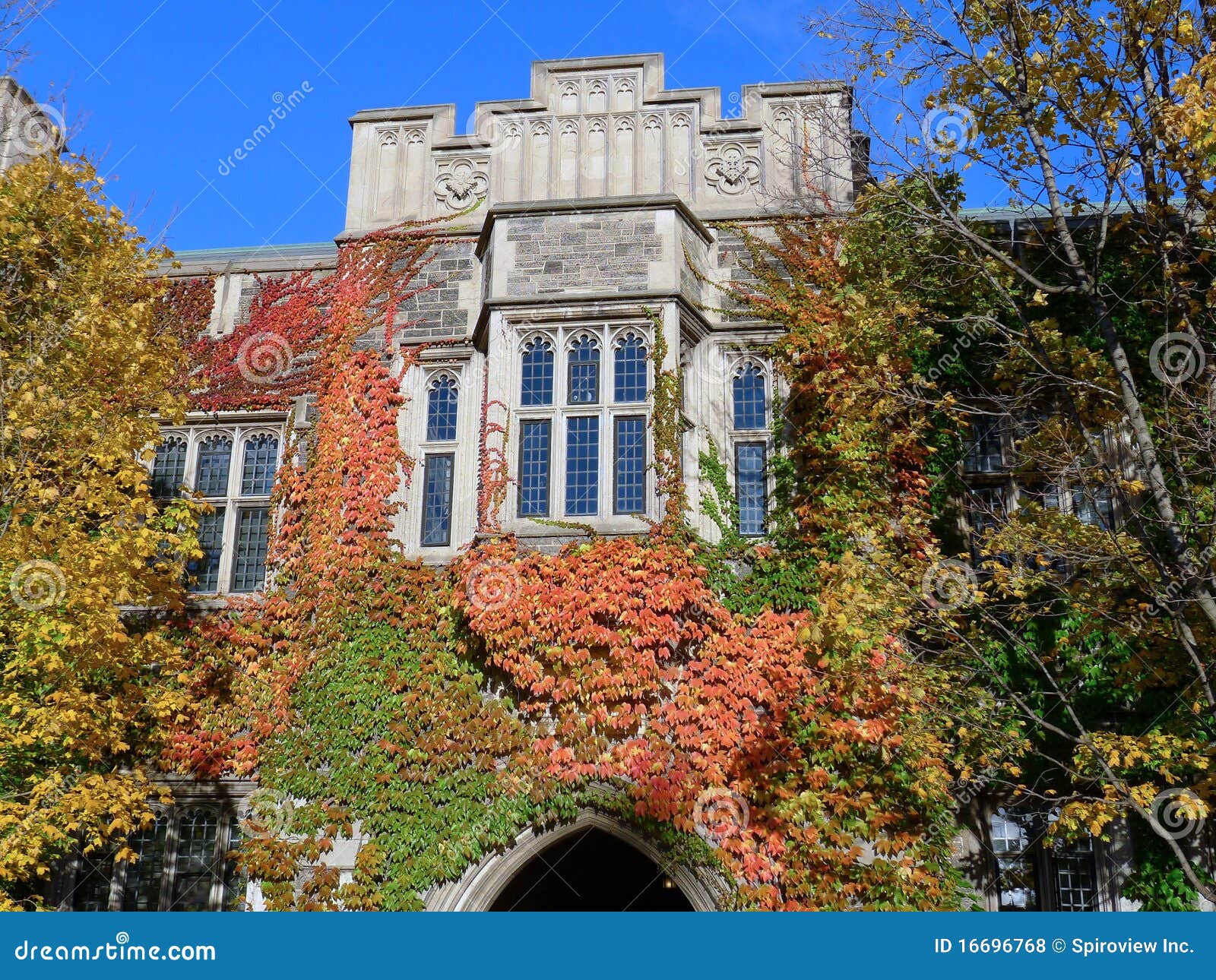 College with Fall Vines stock photo. Image of gothic - 16696768
