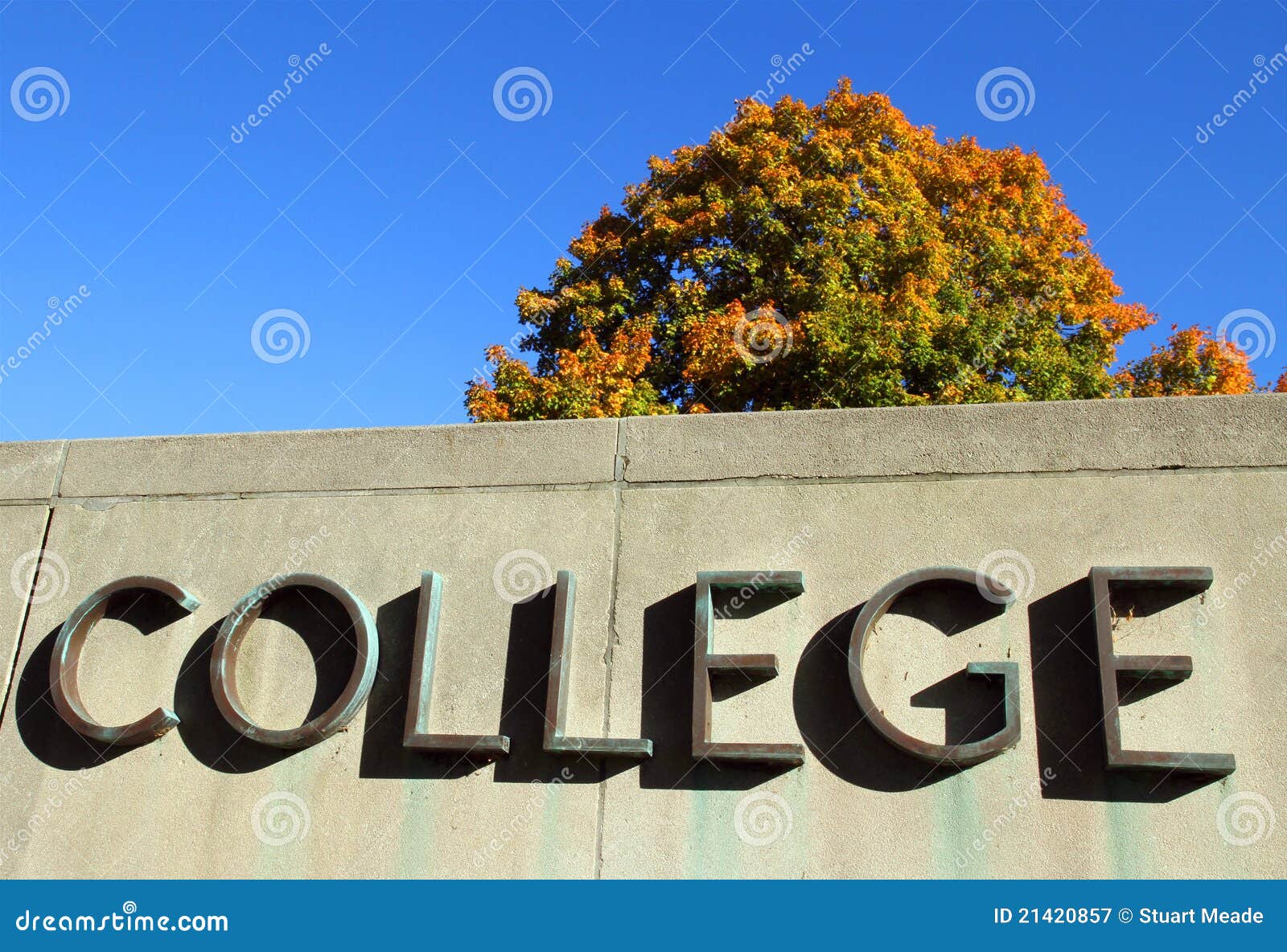 College Sign