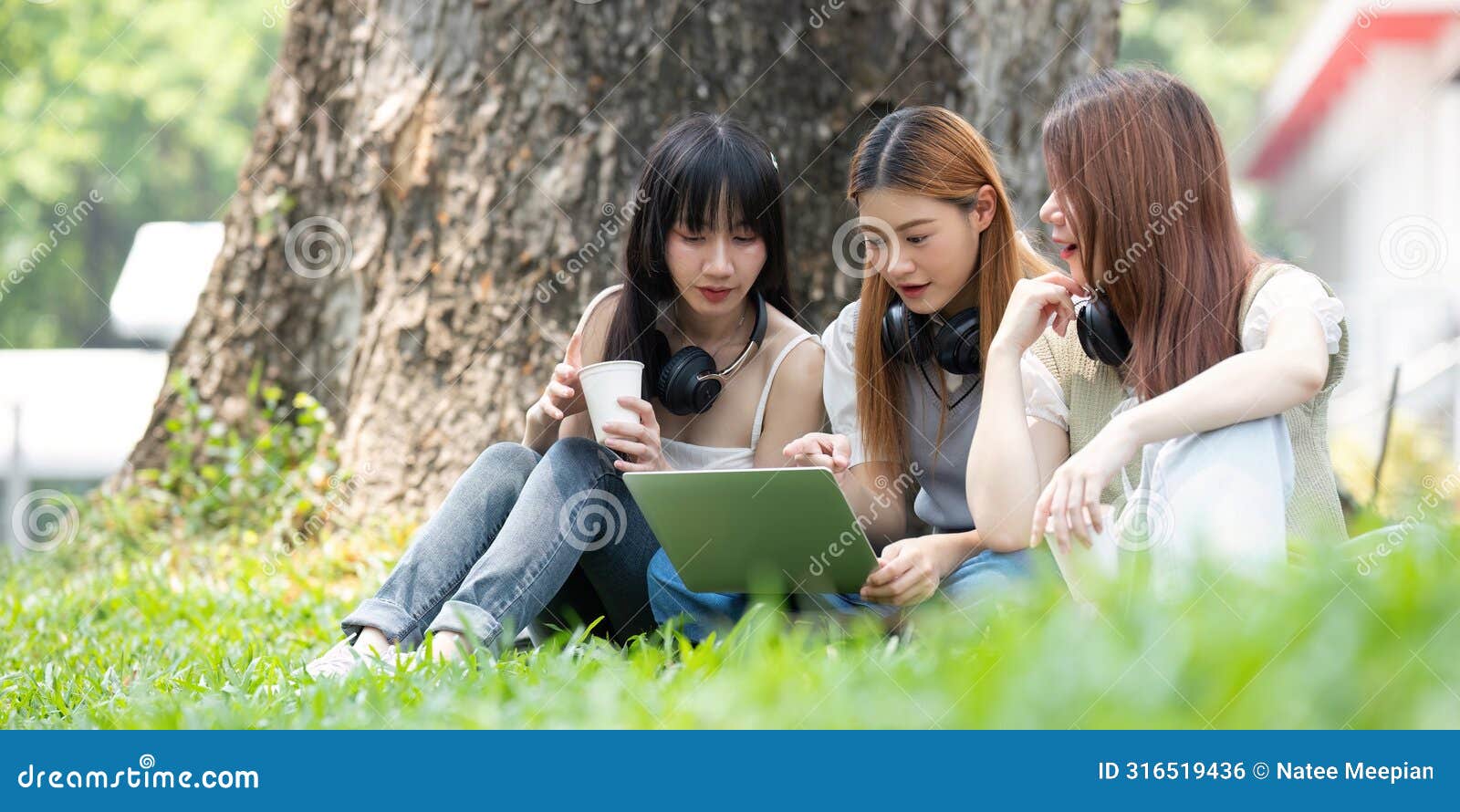 College Student Having Discussion Under Tree on Campus, Preparing for ...