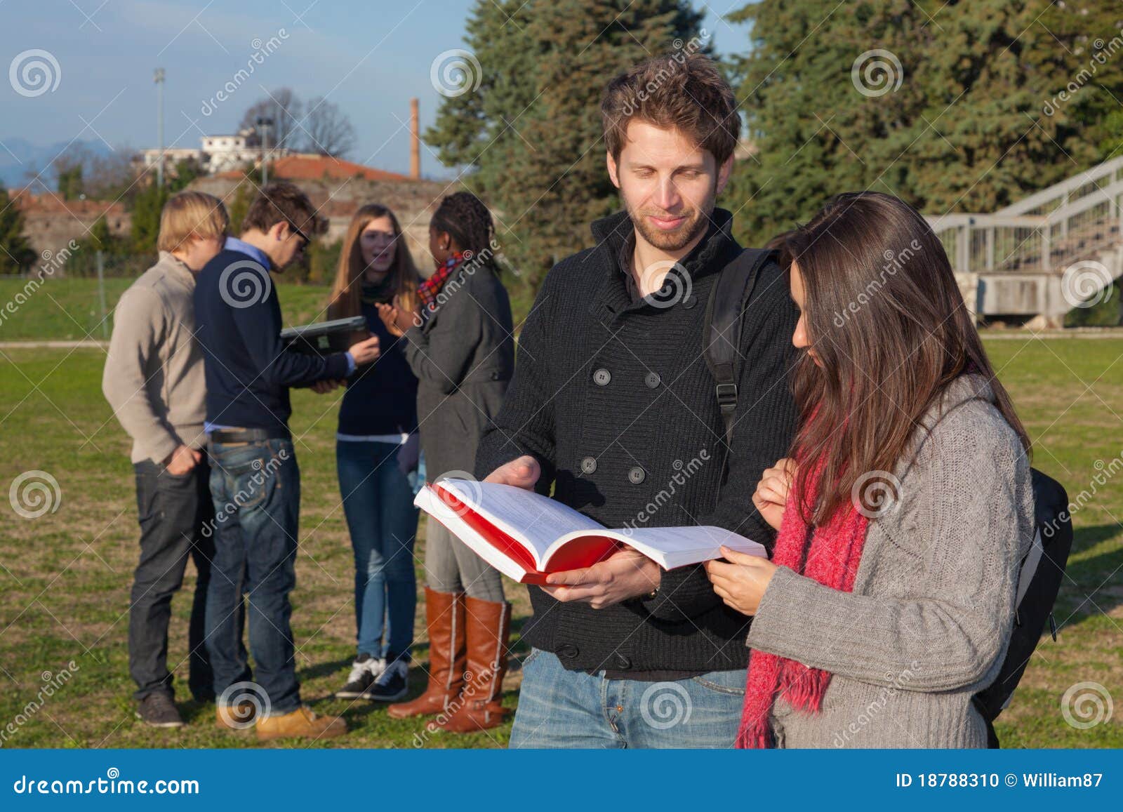 College Students on Relax stock photo. Image of discussion - 18788310