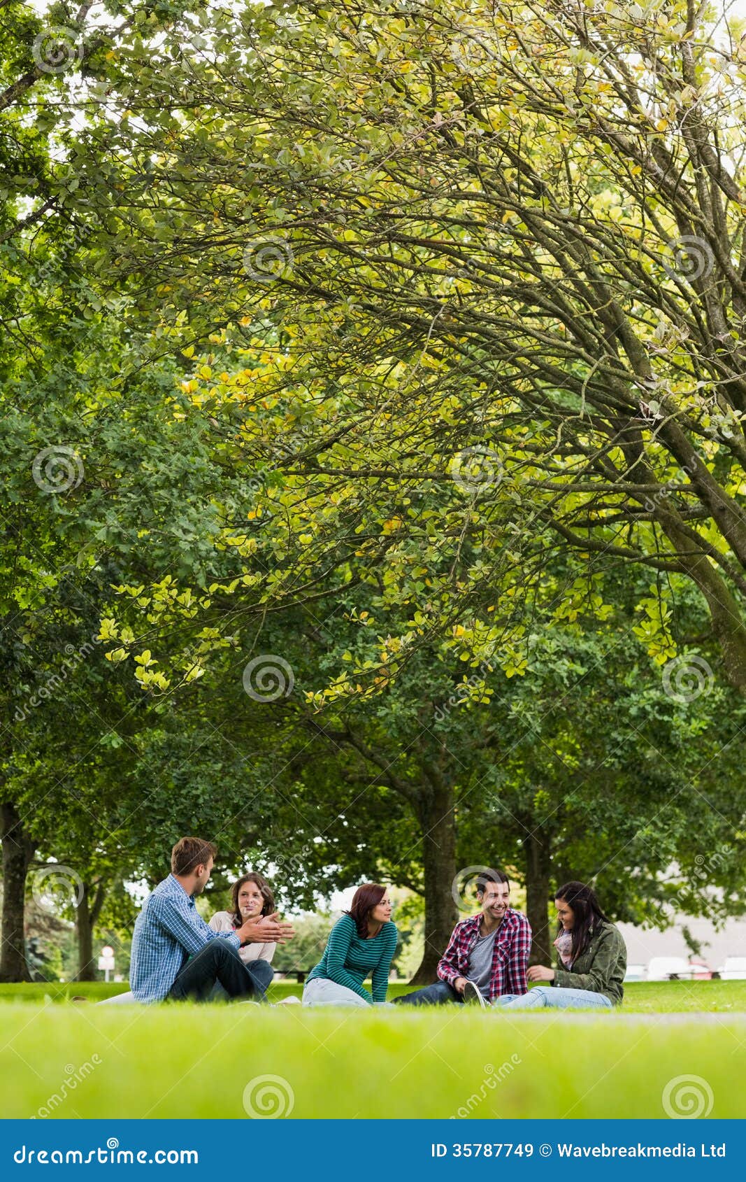 College Students Sitting on Grass in Park Stock Image - Image of ...