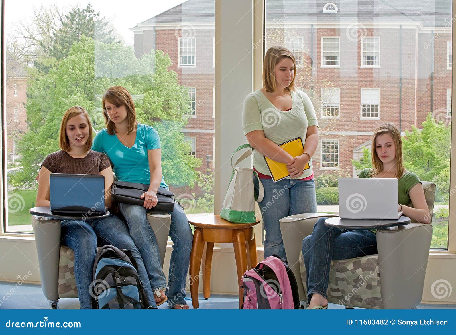 College Students Studying stock photo. Image of adults - 11683482