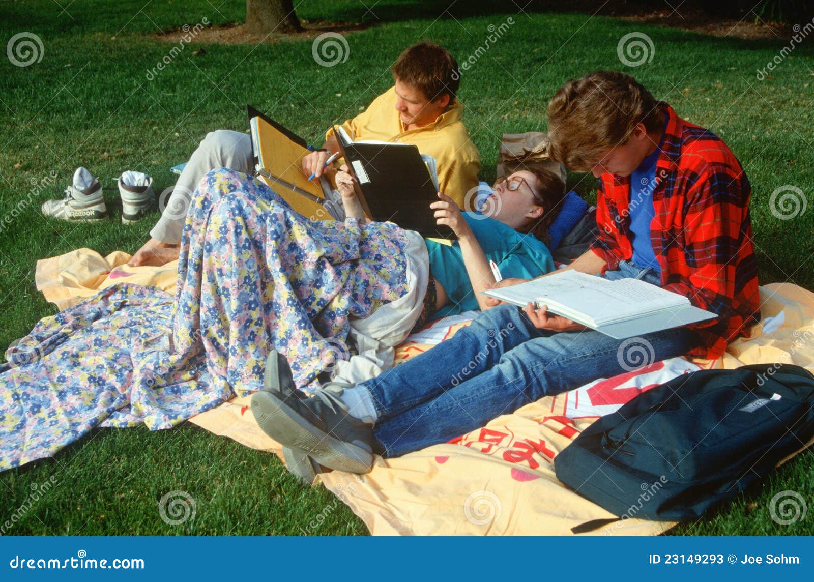 College Students Studying in Field Editorial Stock Photo - Image of ...
