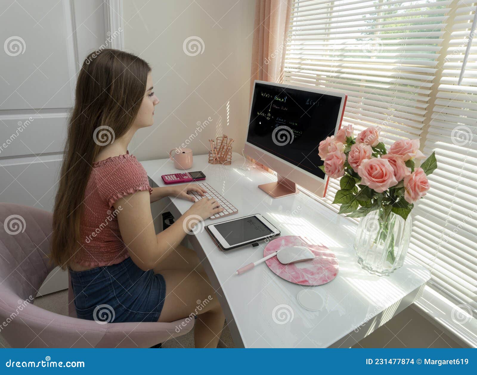 Girl Studying Math Using Computer on Line at Home. Stock Photo - Image ...