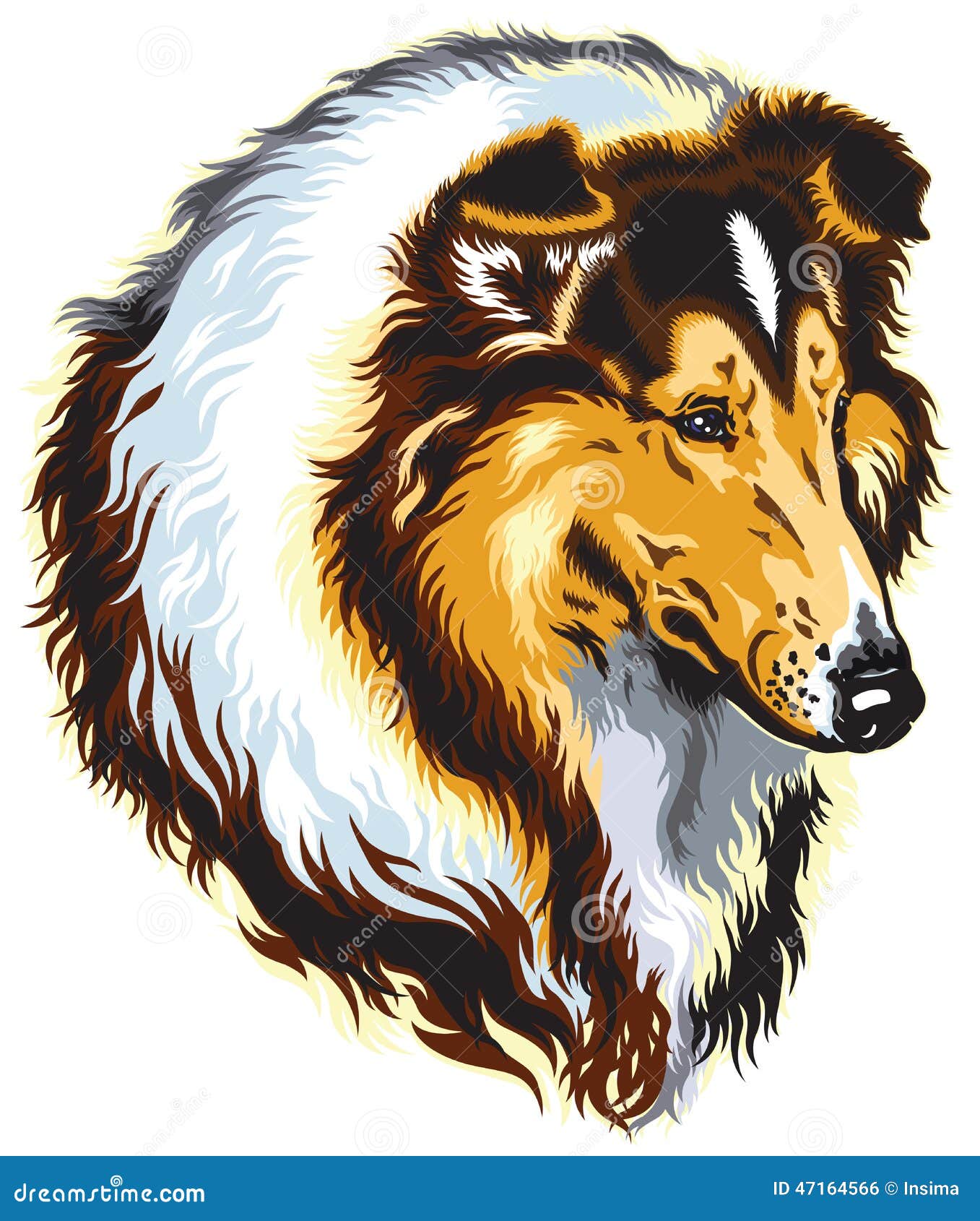 Collie head stock vector. Illustration of purebred, animal - 47164566