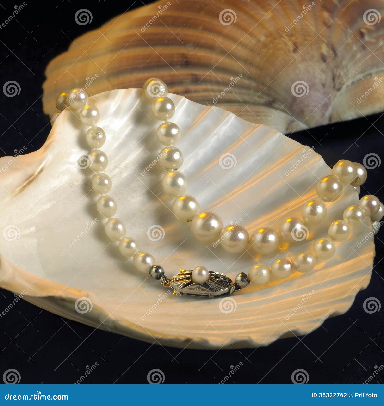 Collier De Coquillage Et De Perle Photo stock - Image du vêtement, mode ...