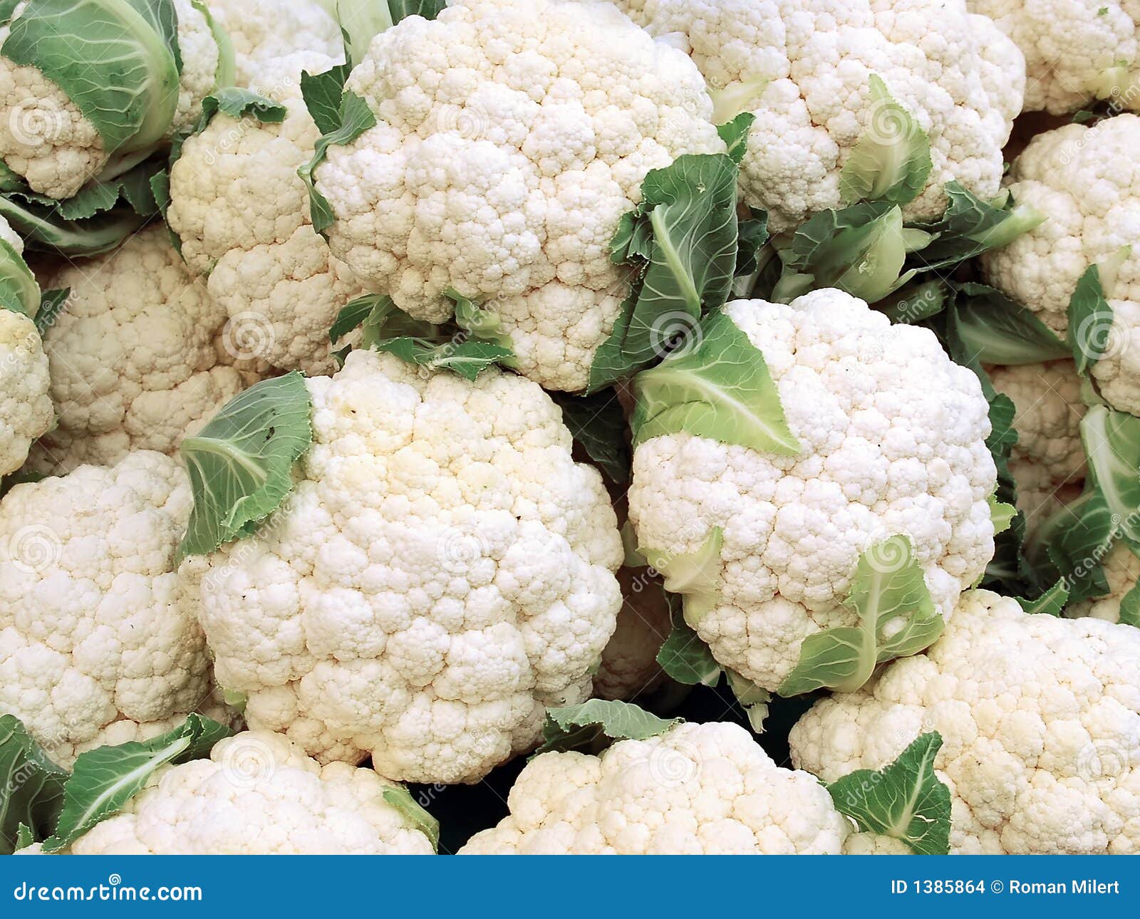 Colliflowers stock photo. Image of healthy, garden, head - 1385864