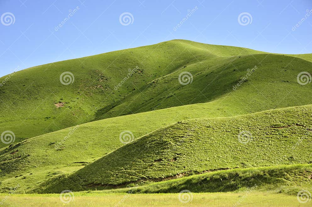 Collina verde fotografia stock. Immagine di nave, curva - 11005302