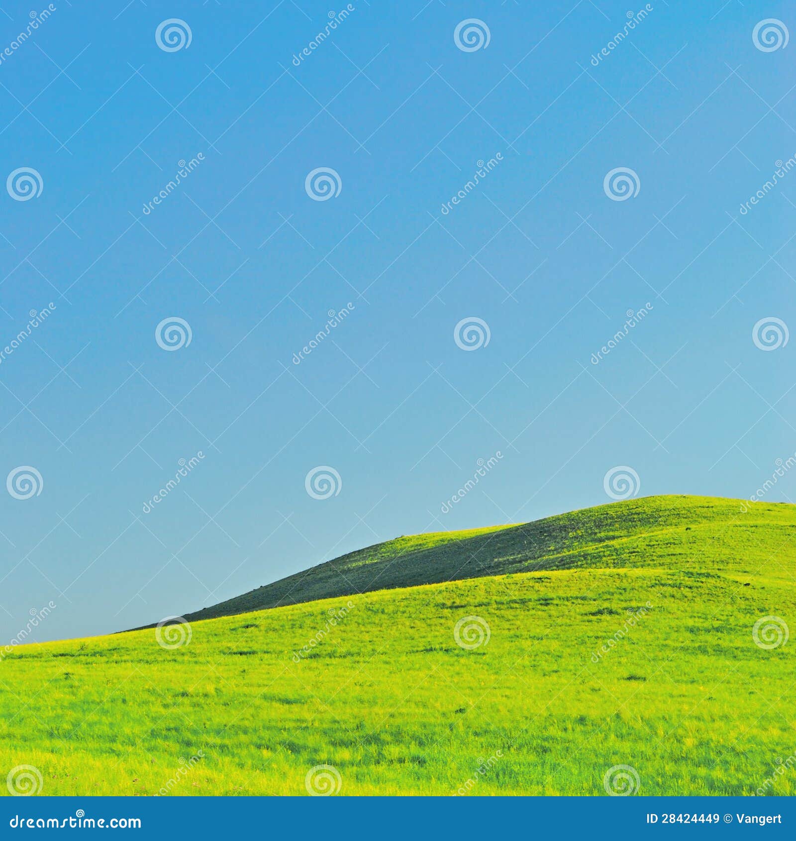 Collina verde immagine stock. Immagine di collina, campo - 28424449