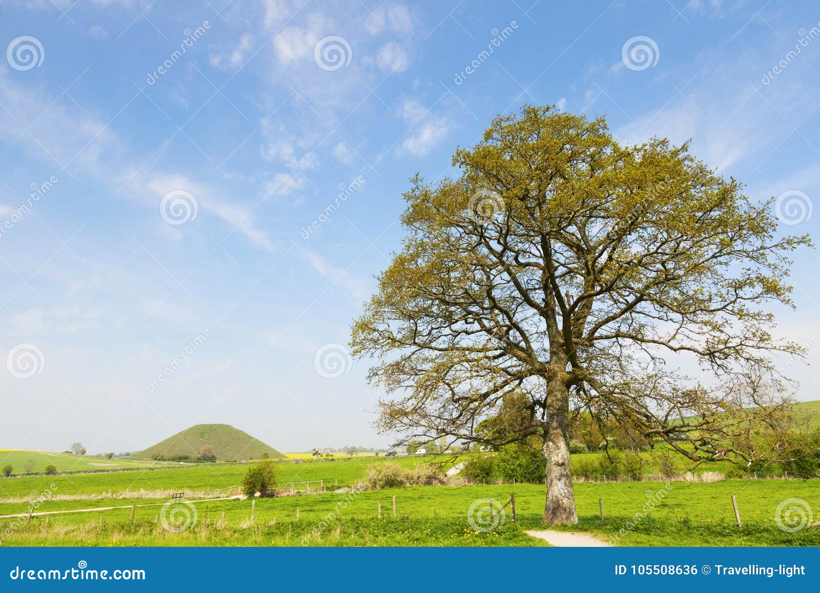 Collina Wiltshire Inghilterra Di Silbury Fotografia Stock - Immagine di ...