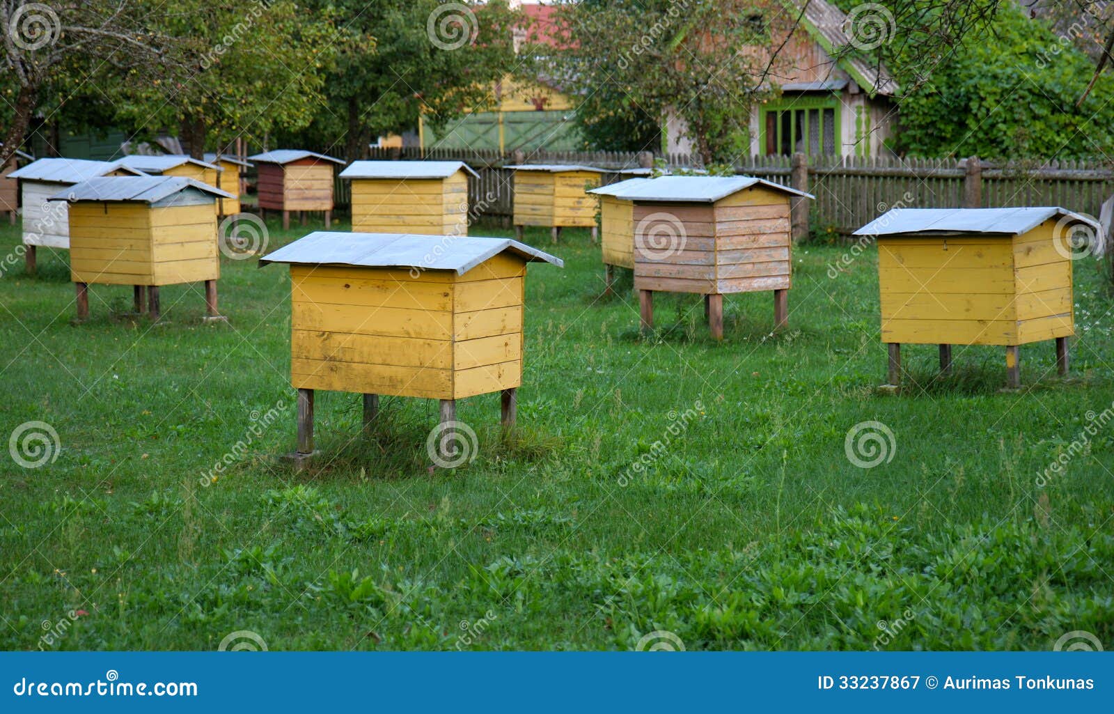 Colmeia imagem de stock. Imagem de jarda, colmeia, abelhas - 33237867