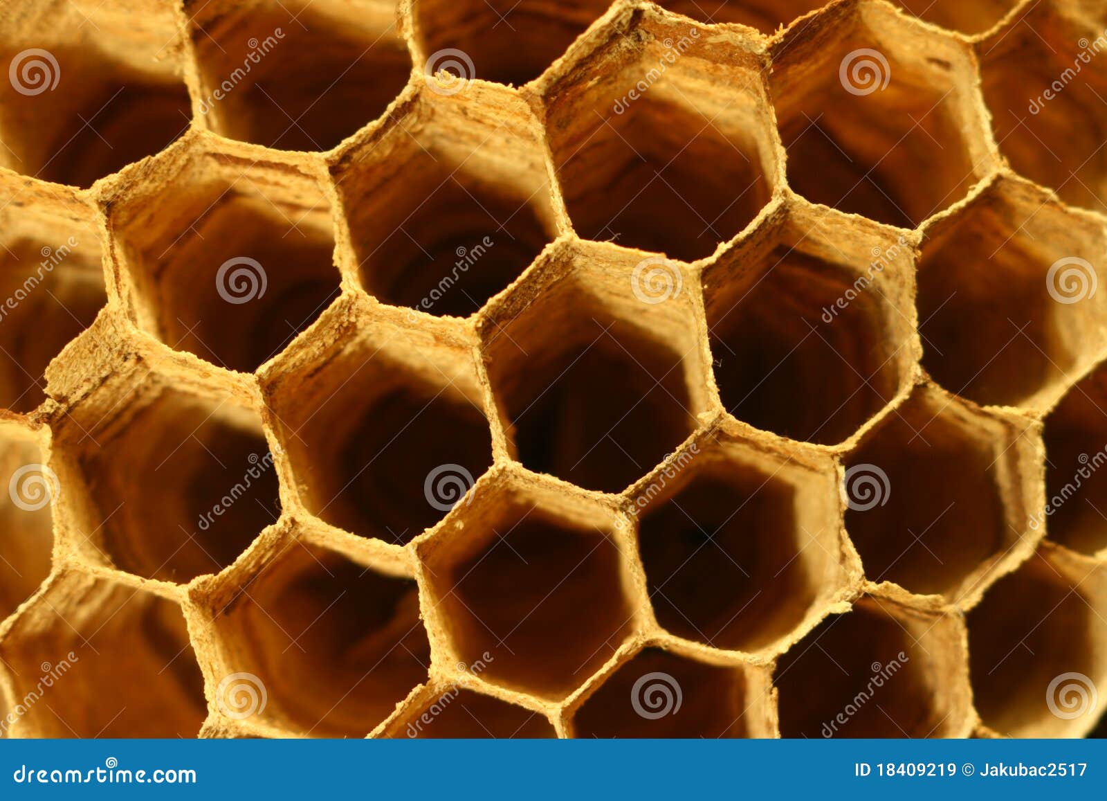 Colmena imagen de archivo. Imagen de abeja, papel, cubo - 18409219