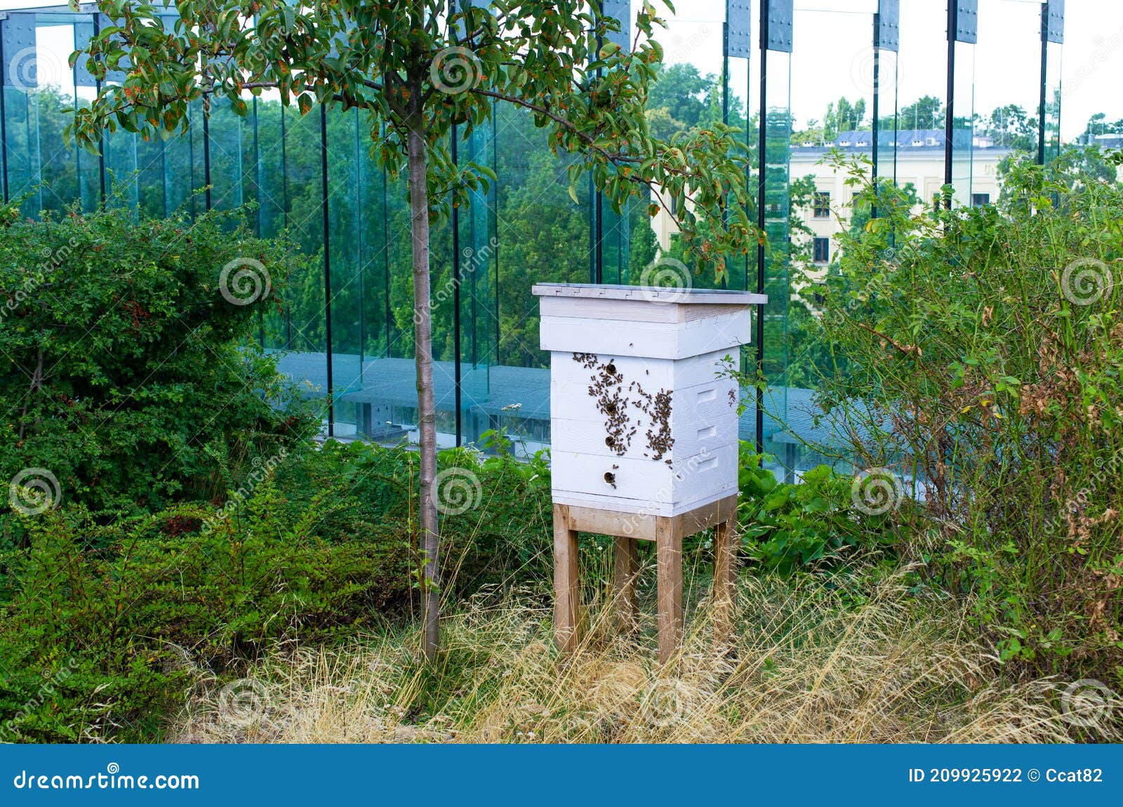 Colmena En El Techo Del Edificio Foto de archivo - Imagen de global ...