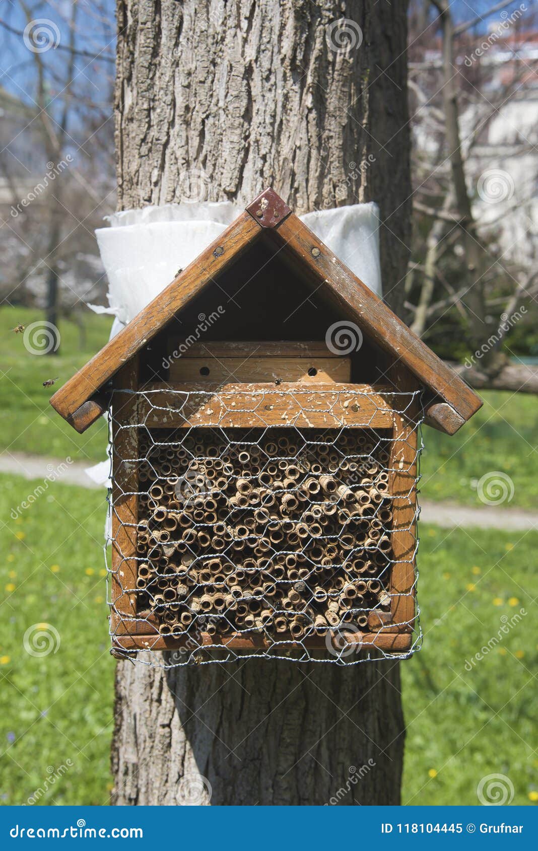 Colmena en un árbol imagen de archivo. Imagen de protegido - 118104445