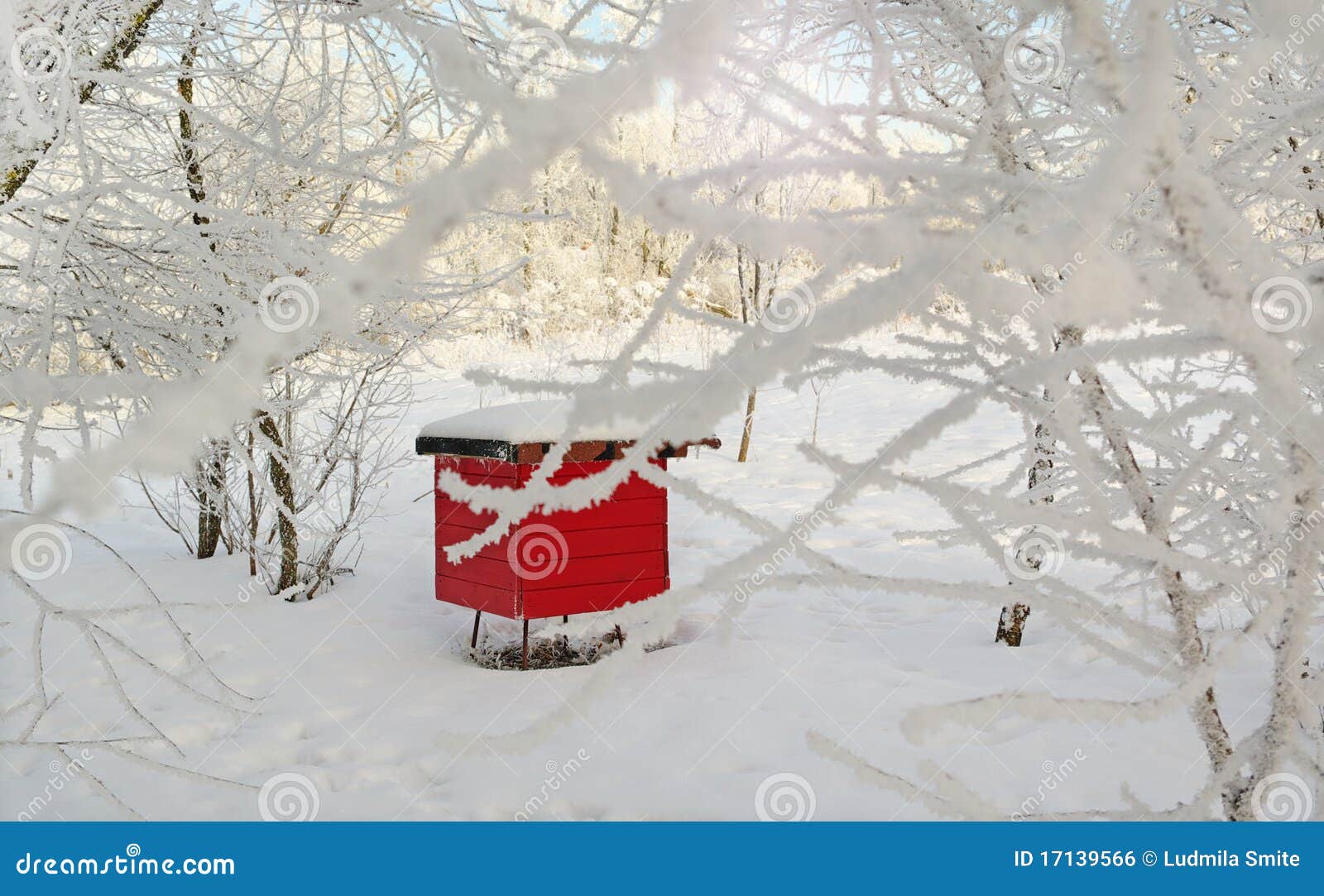 Colmena roja. foto de archivo. Imagen de exterior, insecto - 17139566