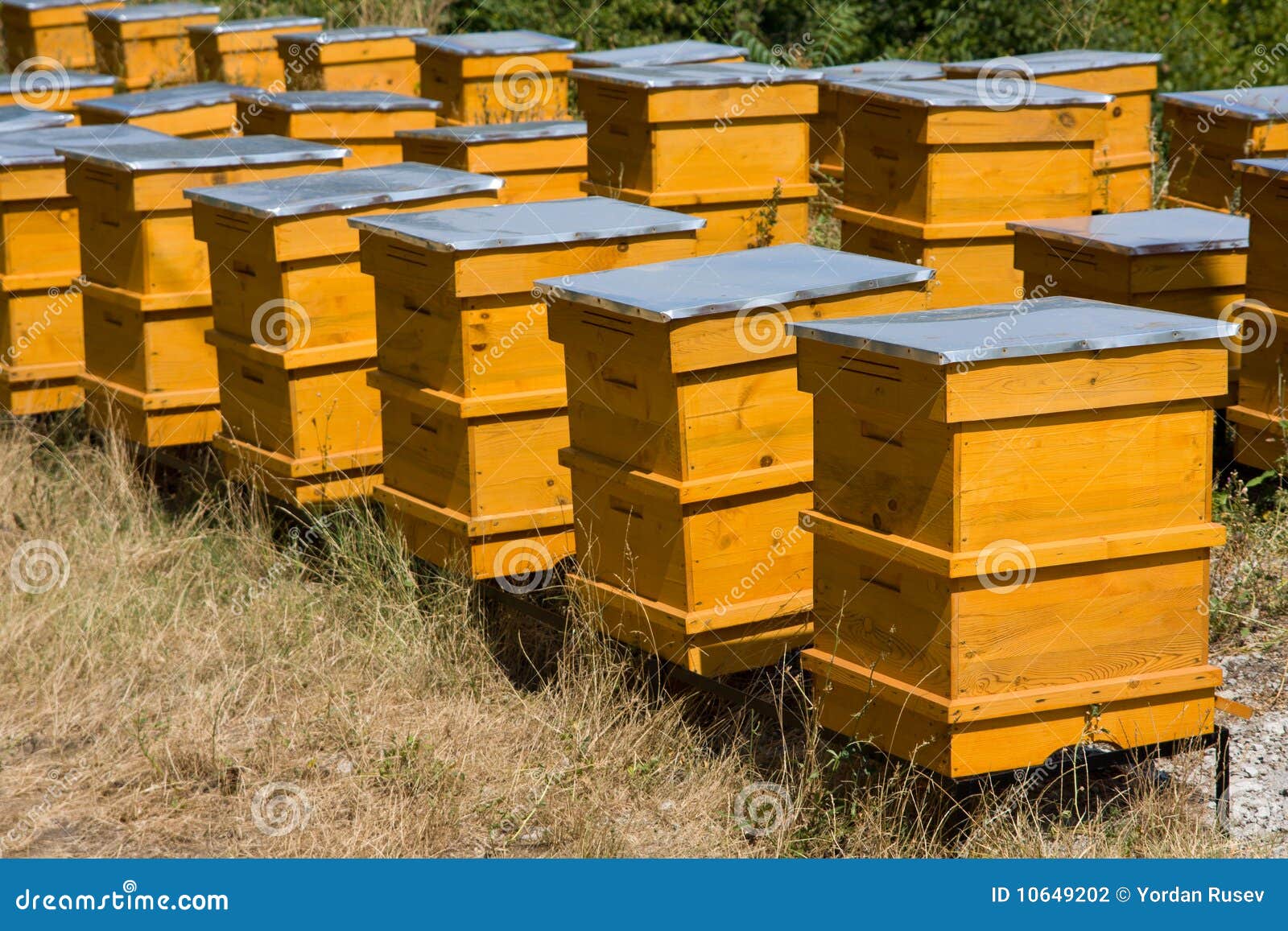 Colmenas foto de archivo. Imagen de apicultura, enriquecedor - 10649202