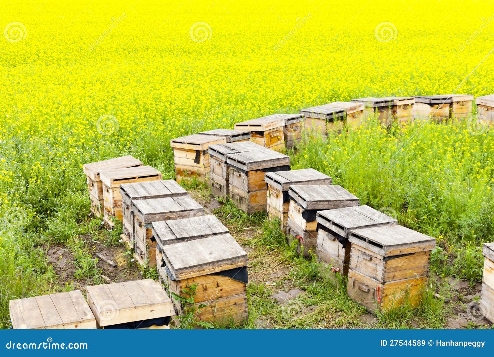 Colmenas imagen de archivo. Imagen de ambiente, casa - 27544589