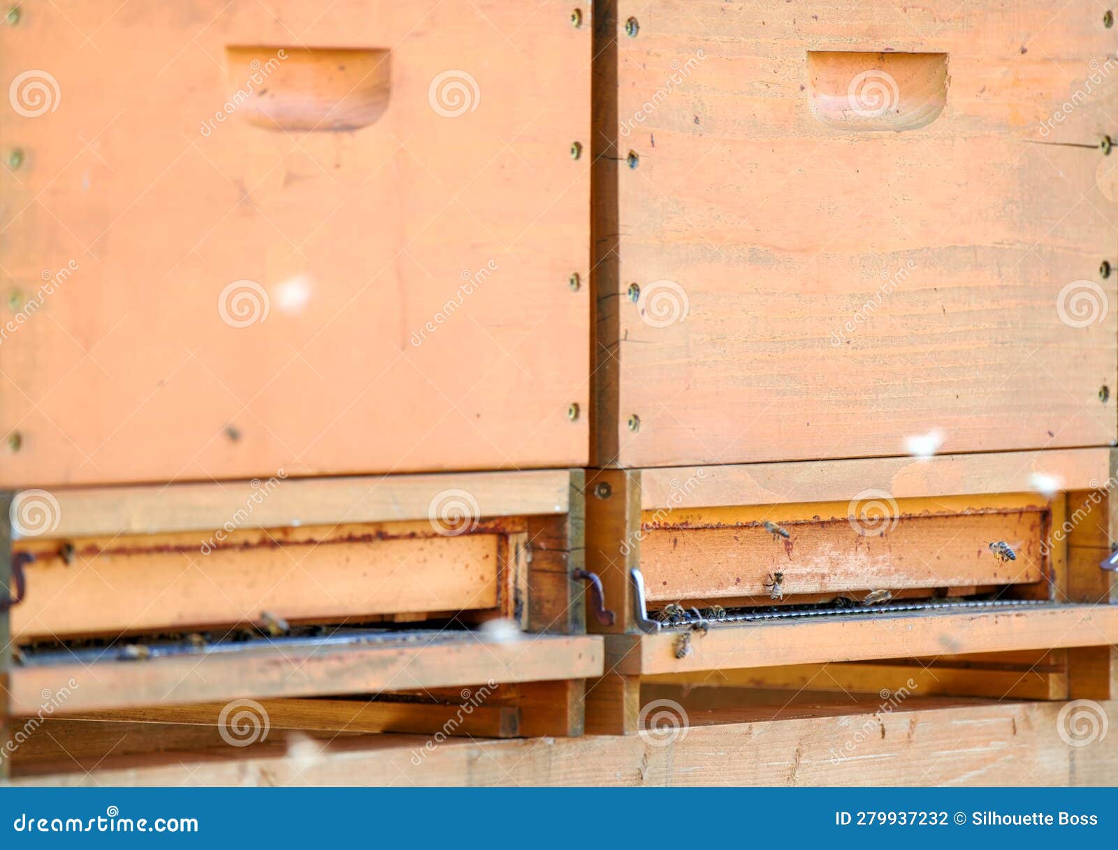 Colmenas De Colmena De Colmena De Colmena De Abejas Foto de archivo ...