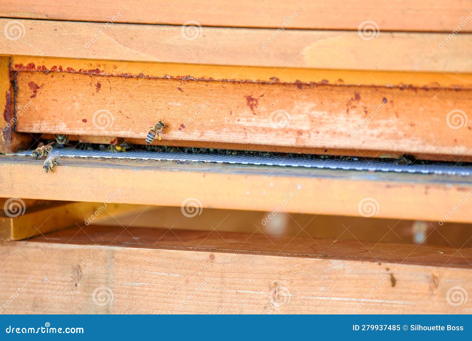 Colmenas De Colmena De Colmena De Colmena De Abejas Imagen de archivo ...