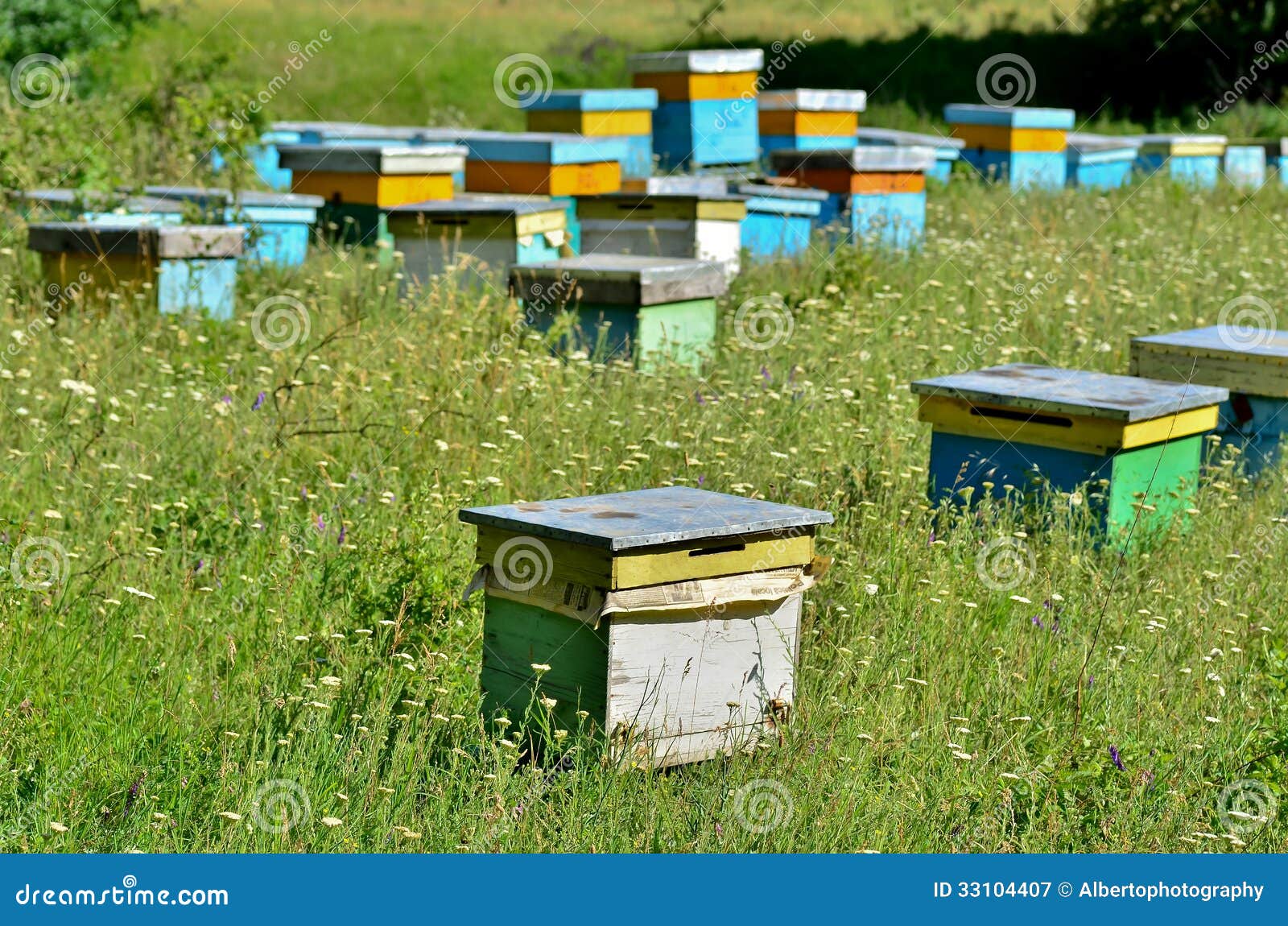 Colmenas de la abeja imagen de archivo. Imagen de abejas - 33104407
