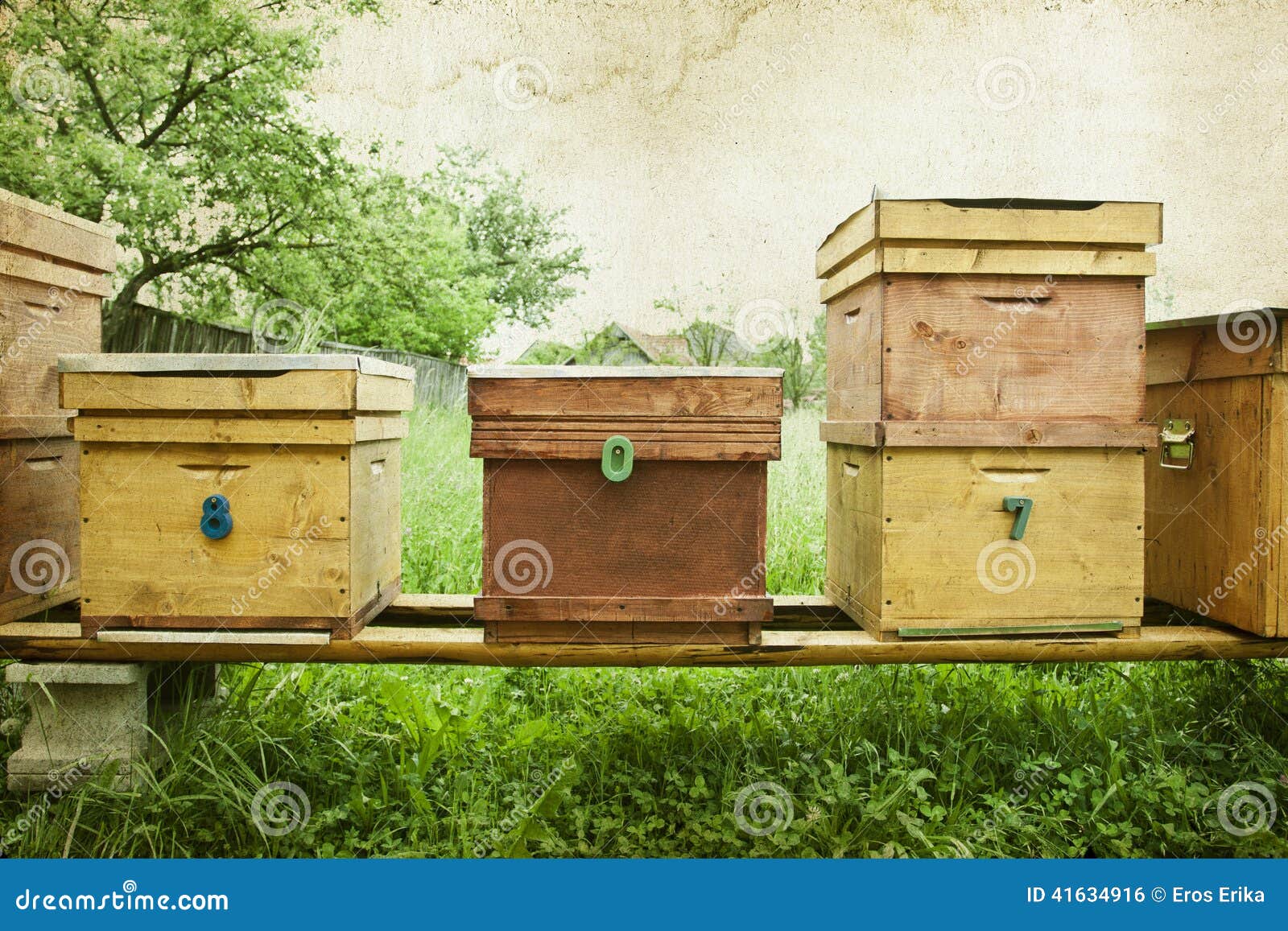 Colmenas De La Abeja En El Campo Foto de archivo - Imagen de abeja ...