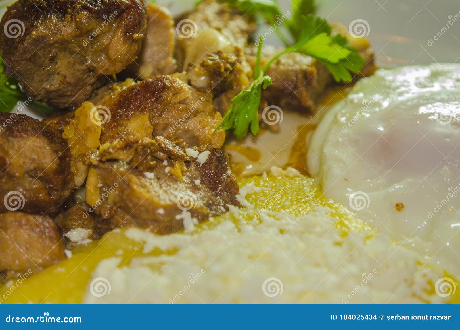 Colmillo del cerdo foto de archivo. Imagen de colmillo - 104025434