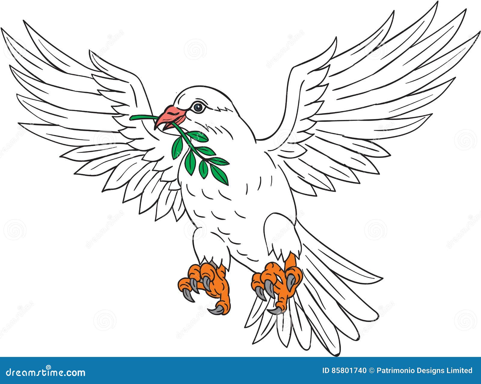 Colomba Con Olive Leaf Drawing Illustrazione Vettoriale - Illustrazione ...