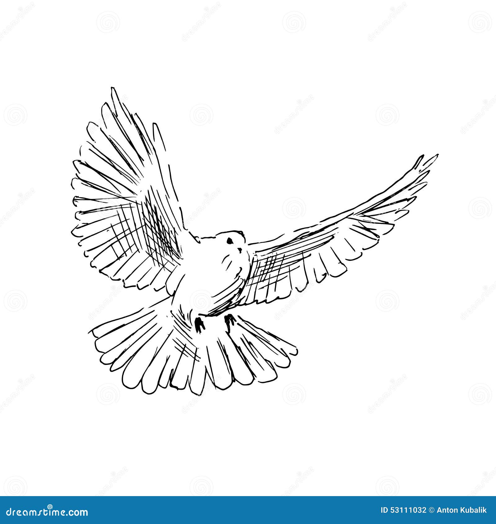 Colomba Del Disegno Della Mano Illustrazione Vettoriale - Illustrazione ...