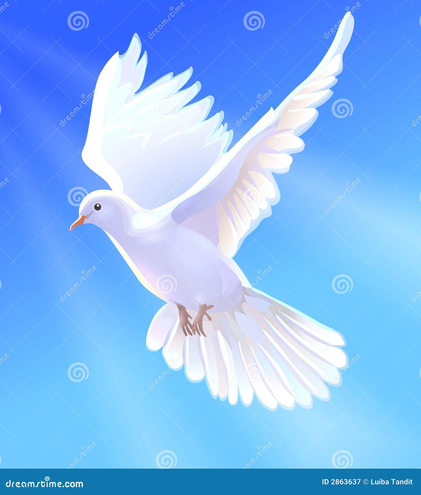 Colombe Photographie stock libre de droits - Image: 2863637