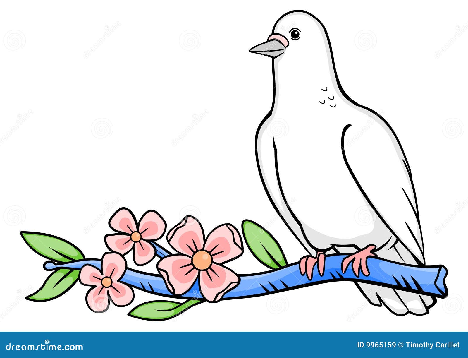 Colombe de branchement illustration de vecteur. Illustration du colombe ...