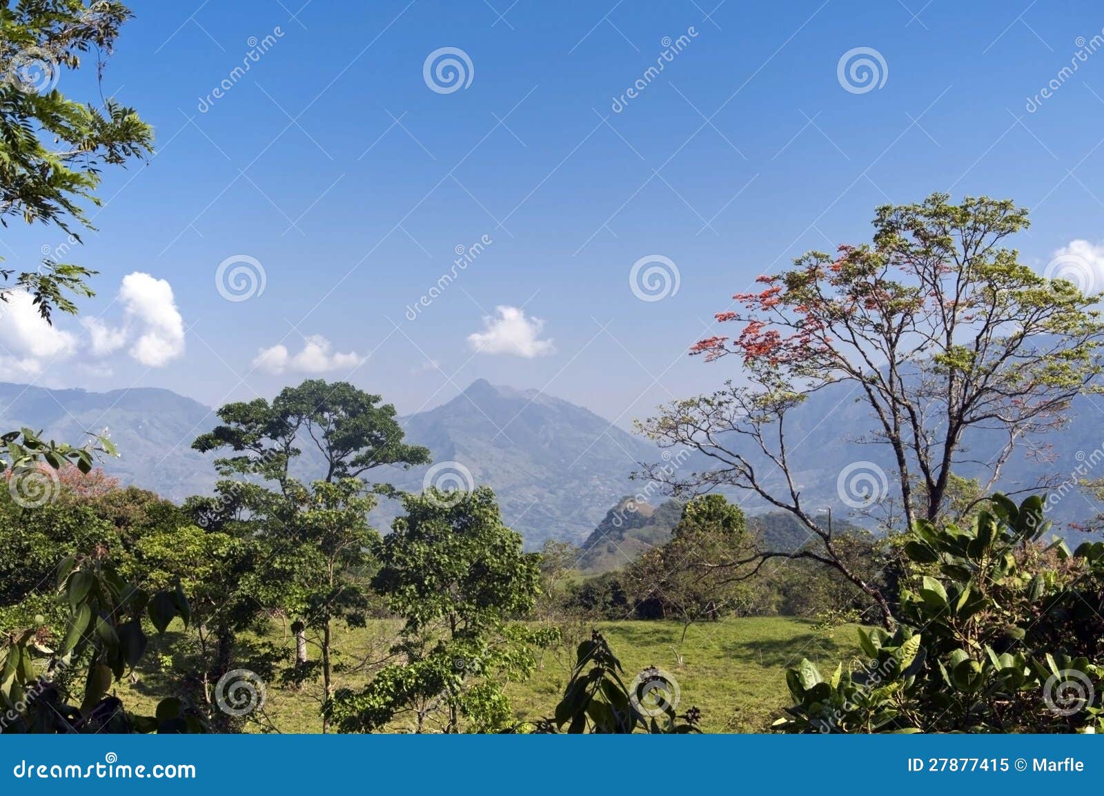 Colombian Andean Mountain Landscape Stock Image - Image of sunny ...