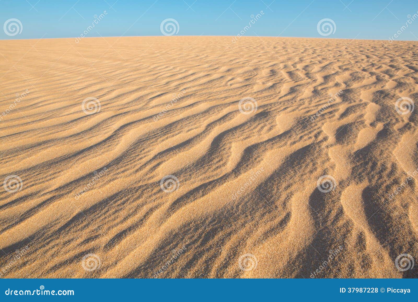 Colombian Coastline in La Guajira Stock Photo - Image of landscape ...