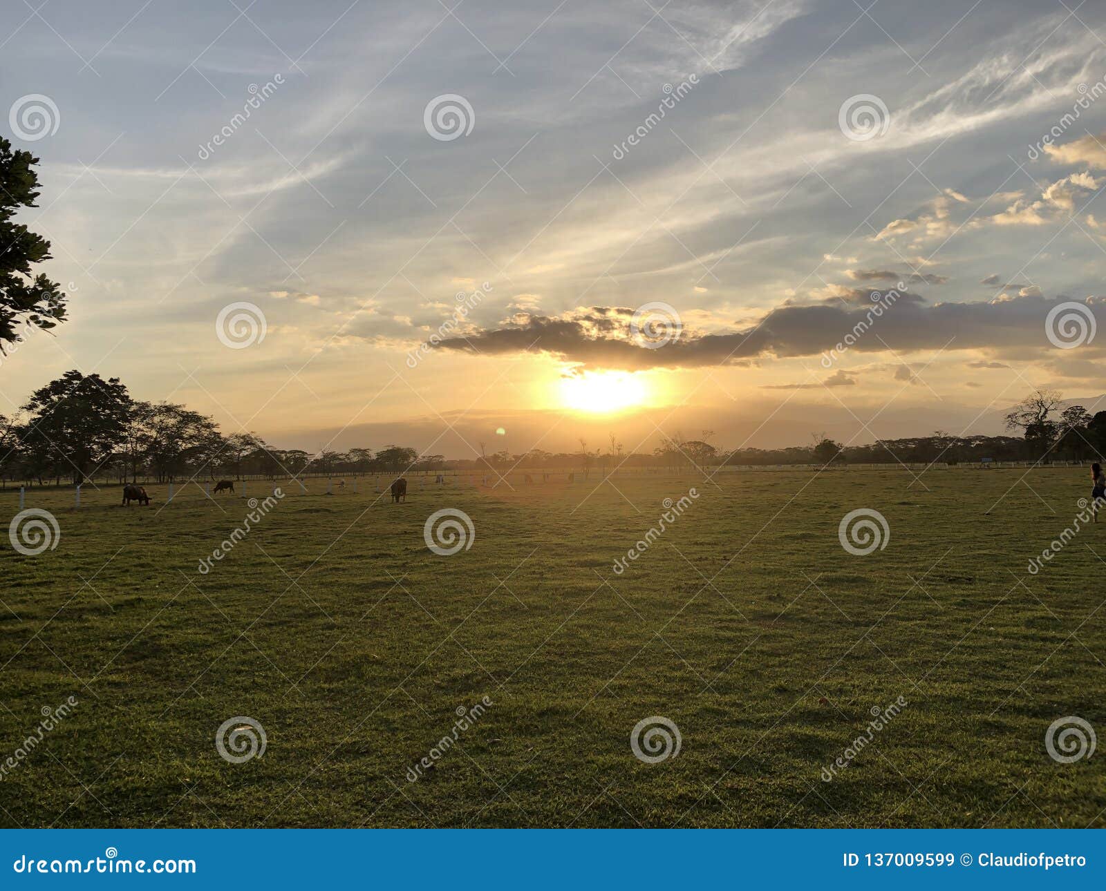 Colombian sunset stock image. Image of climate, care - 137009599