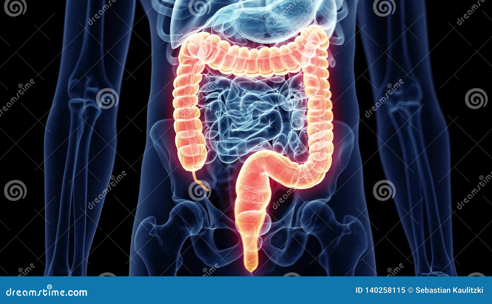 Haustra Cartoons, Illustrations & Vector Stock Images - 191 Pictures to ...