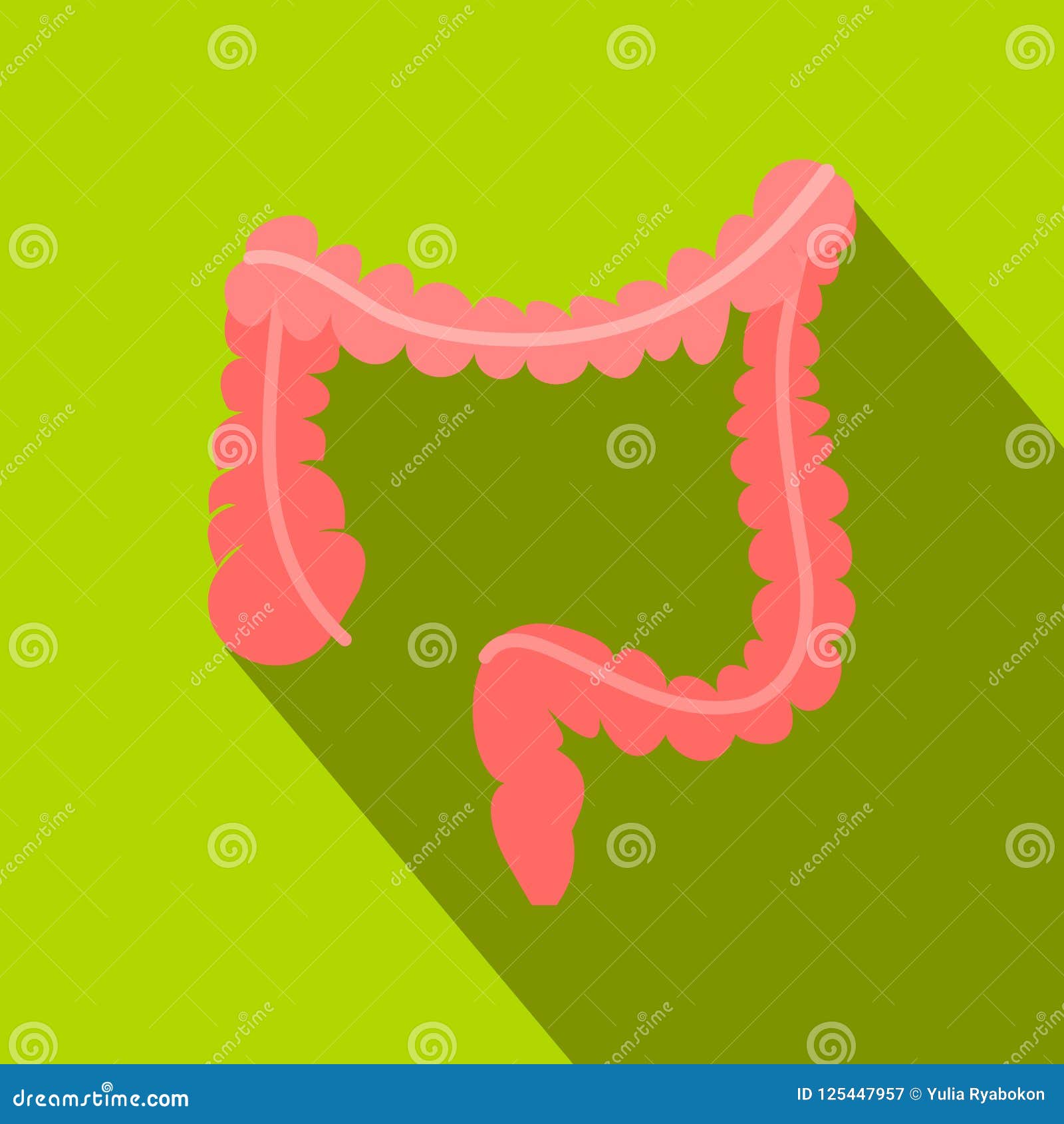 Colon Flat Icon With Shadow Stock Illustration - Illustration of icon ...