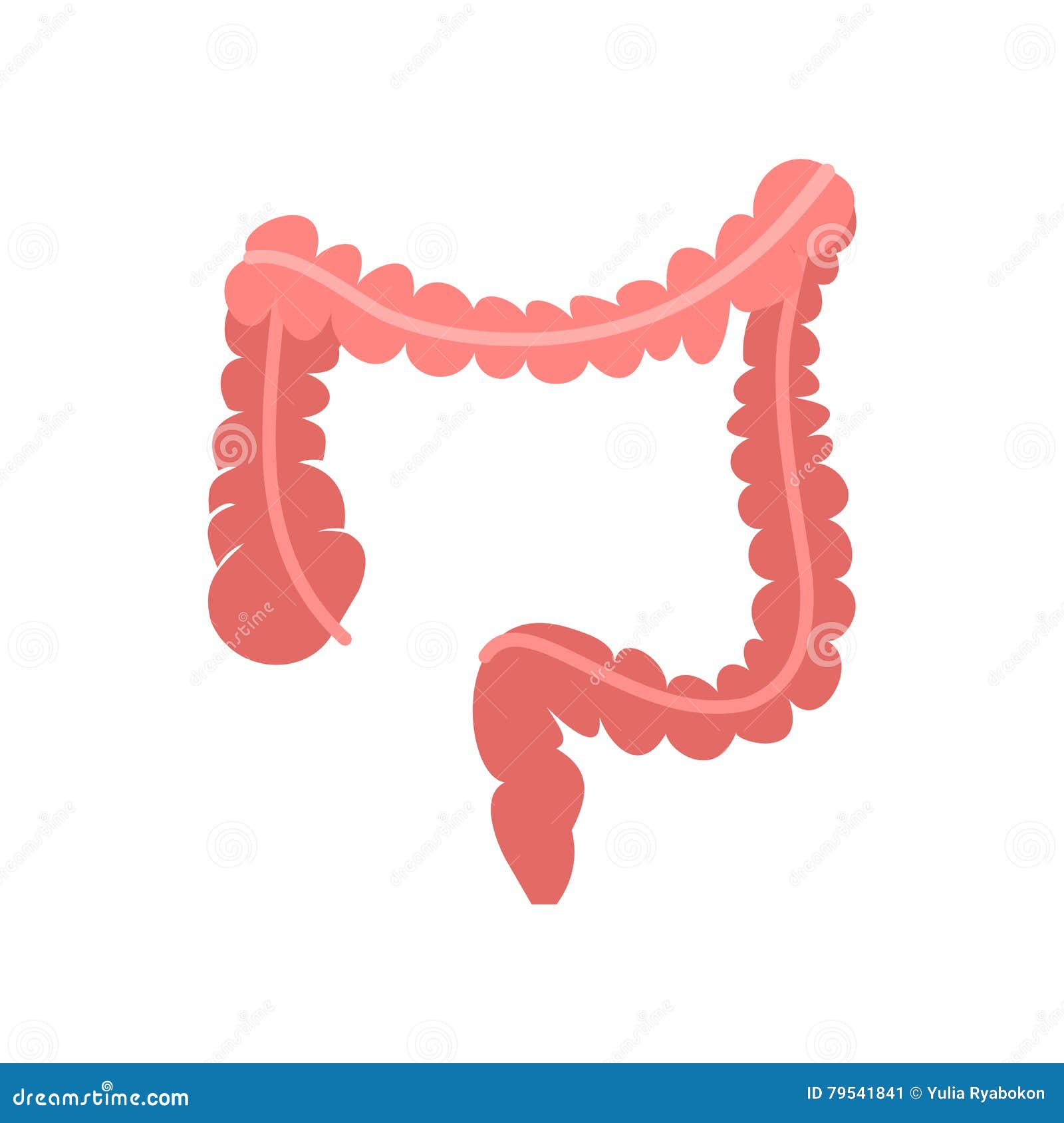 Colon icon flat stock vector. Illustration of appendix - 79541841