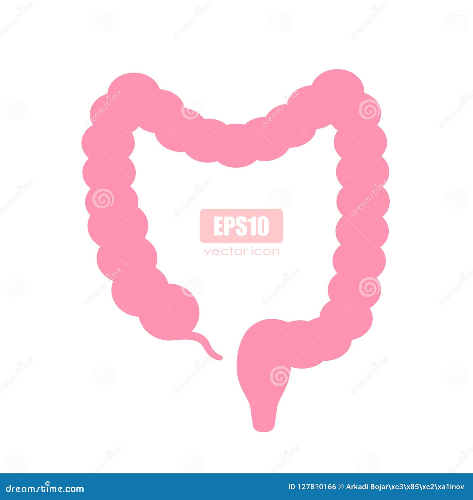 Colon Intestine Vector Icon Stock Vector - Illustration of health ...