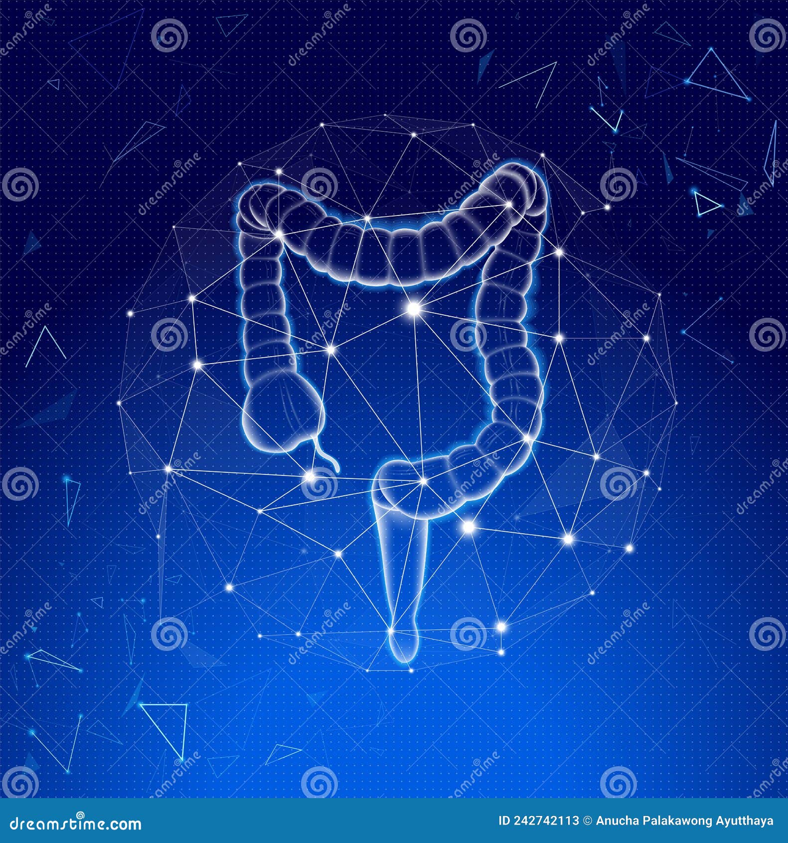 Colon X-ray Image with Blue Tone Background and Modern Technology Style ...