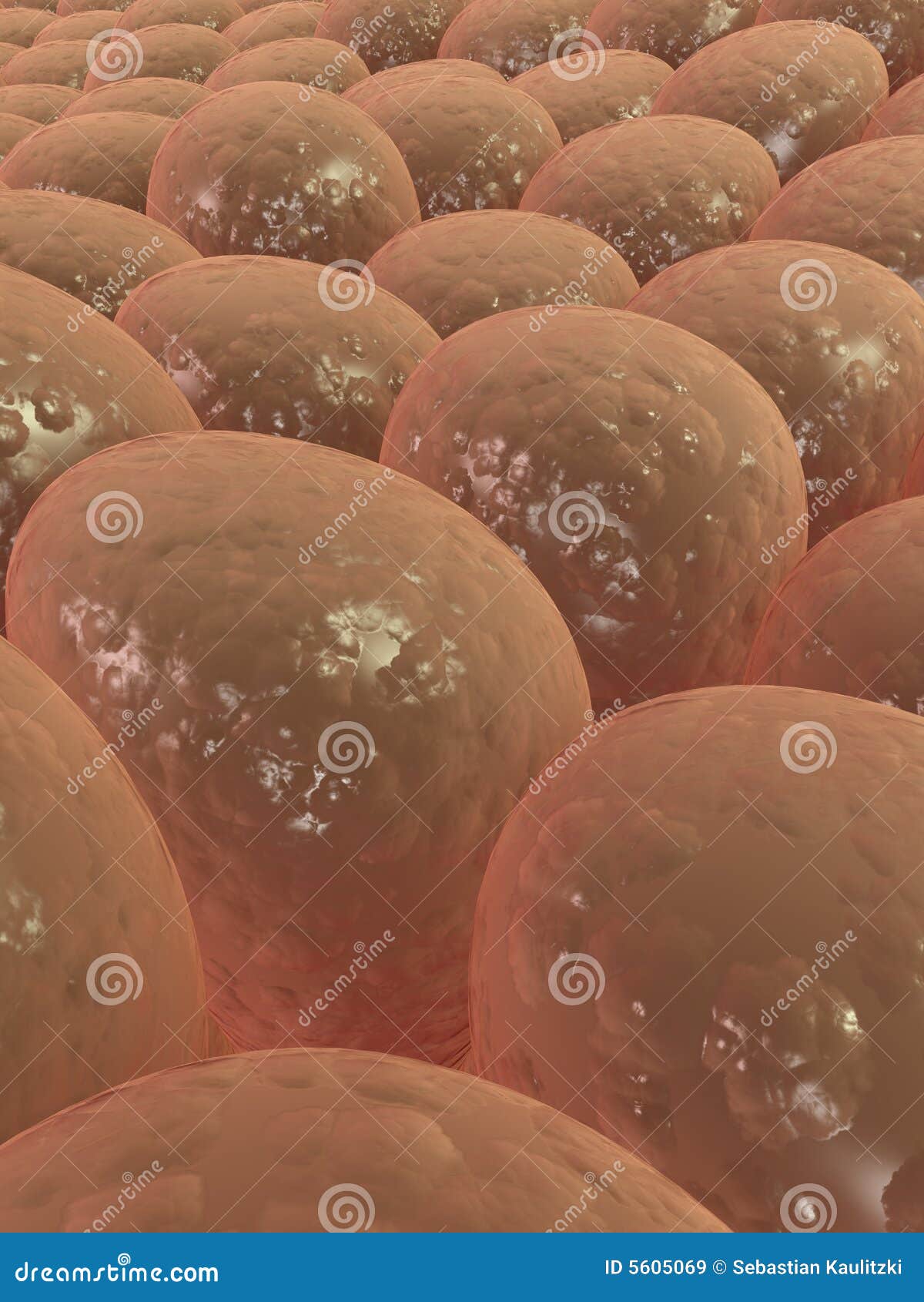 Colon Villi Stock Image | CartoonDealer.com #5605069