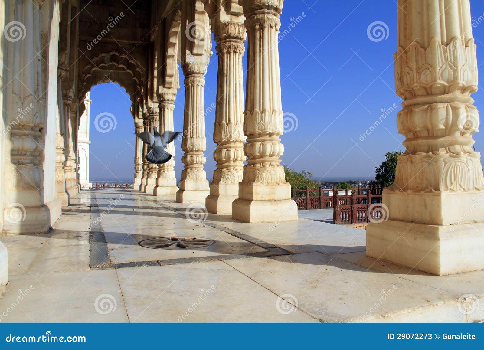Colonade of White Marble Columns with Flying Pigeon Stock Image - Image ...