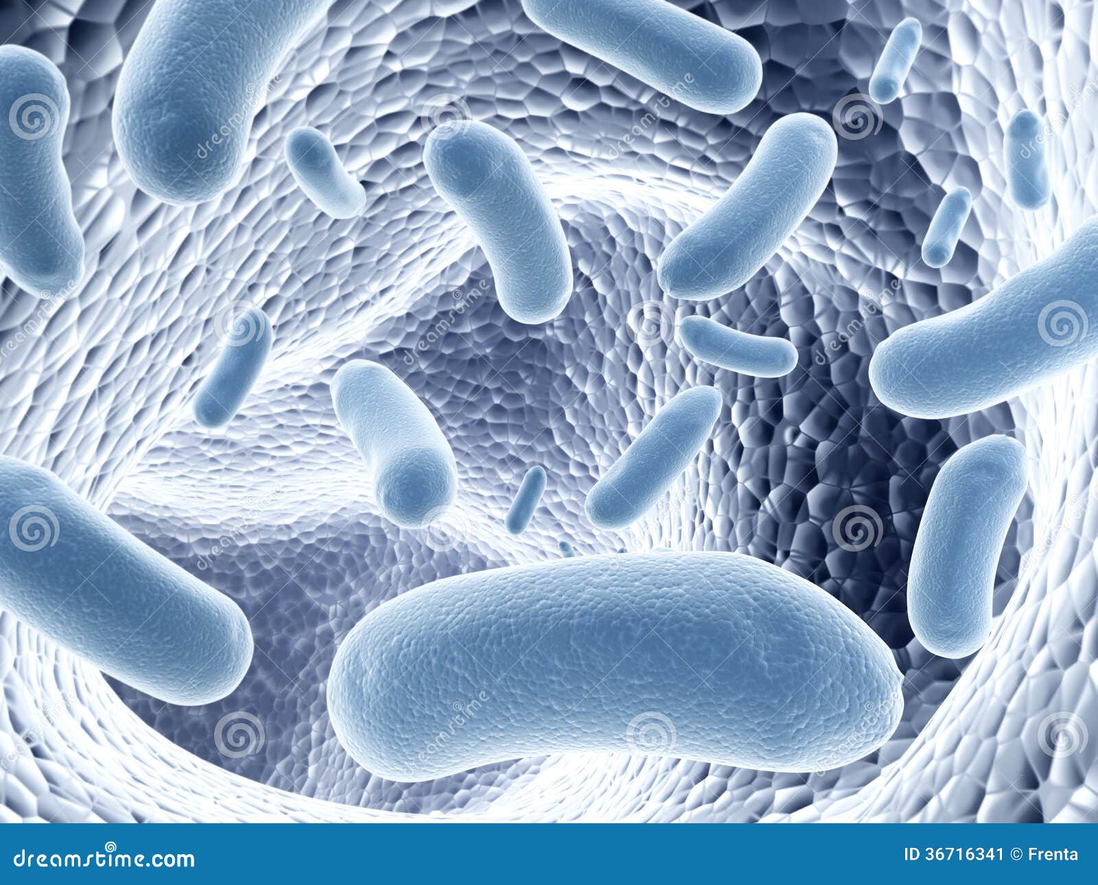 Colonia De Bacterias Imagen de archivo - Imagen: 36716341