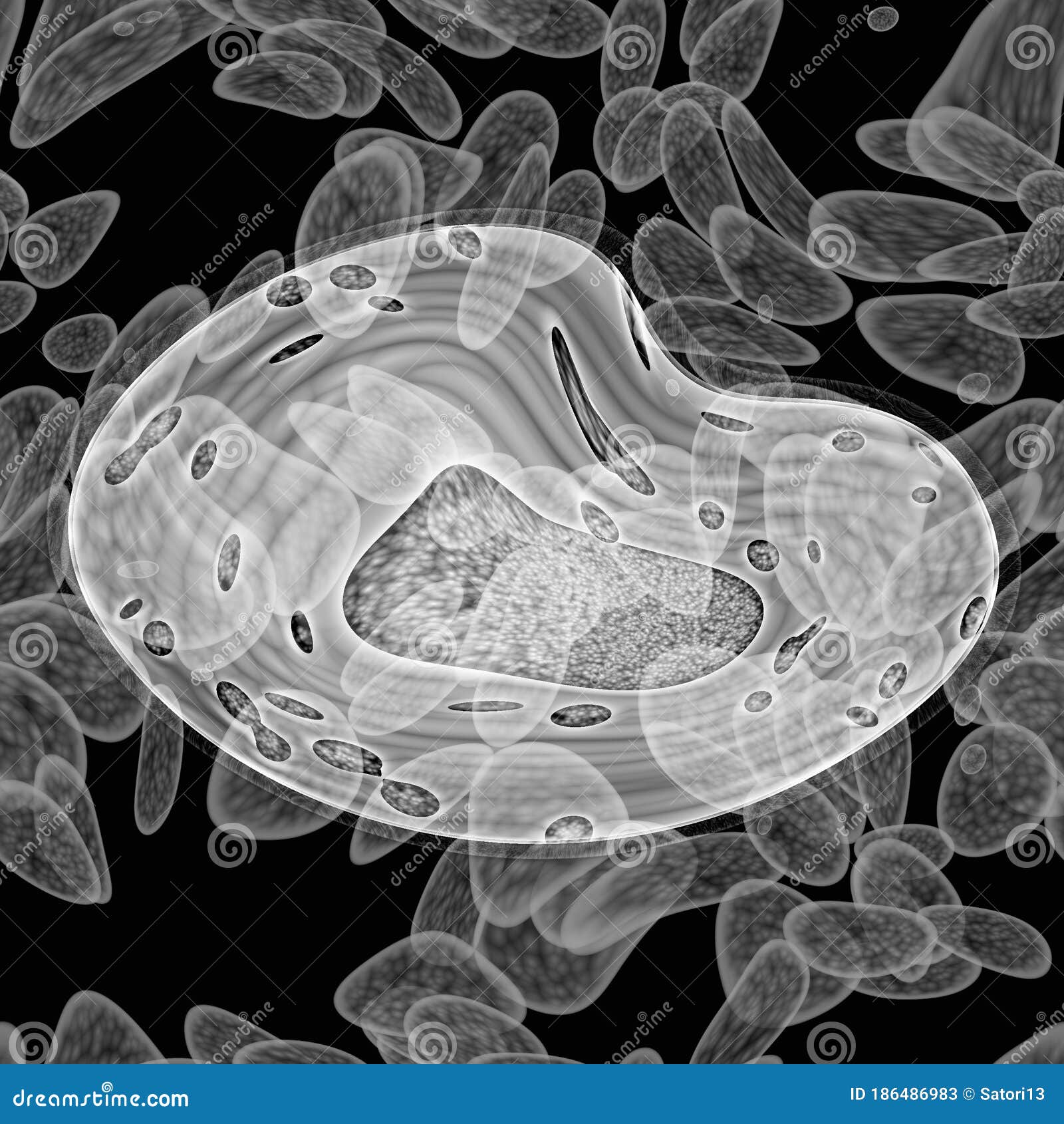 Bacteria Growth Stages. Bacterium In Petri Dishes. Vector ...