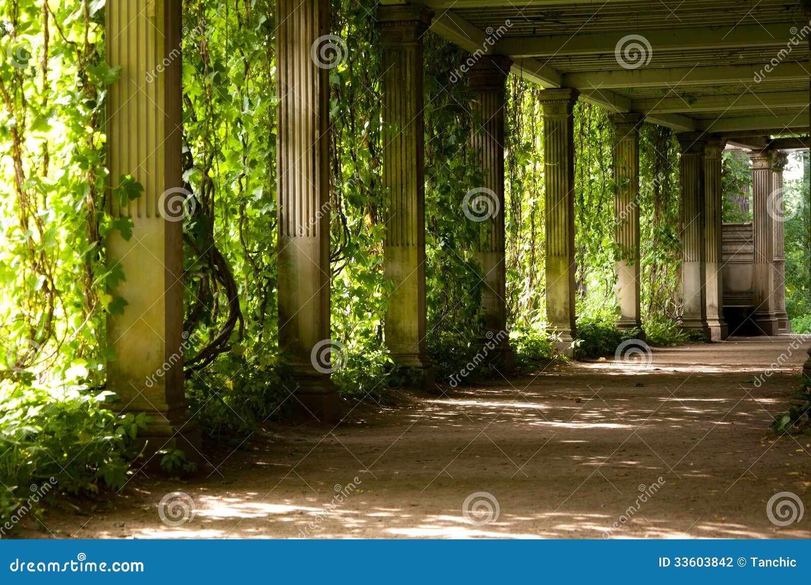 Colonnade with the Old Columns Stock Photo - Image of arcade, entrance ...