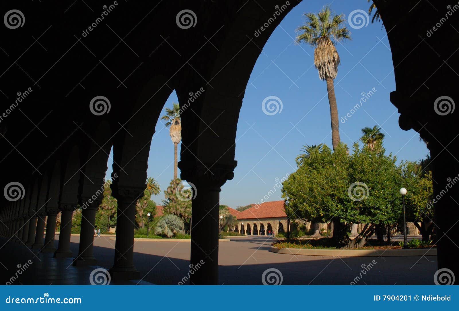 Colonnade at Stanford University Editorial Photo - Image of stanford ...